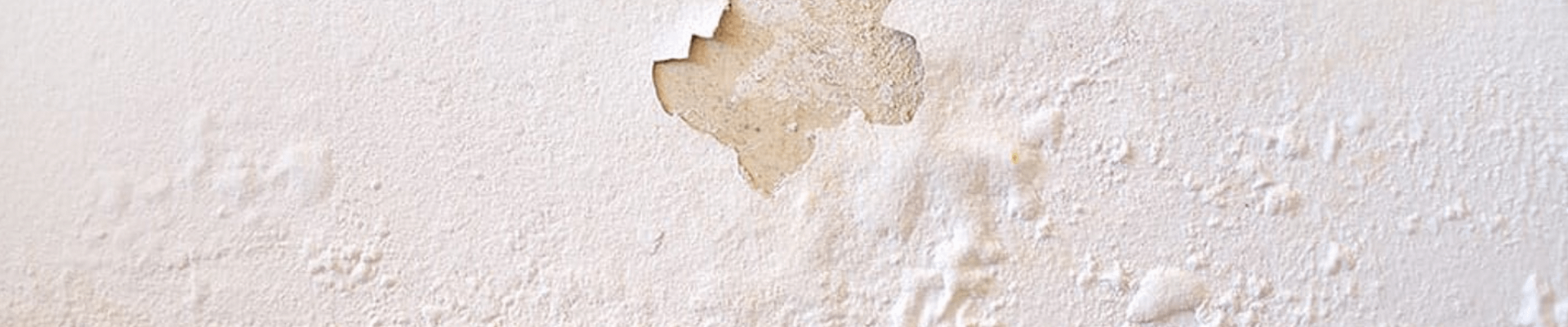 How to Get Rid of Damp on Walls